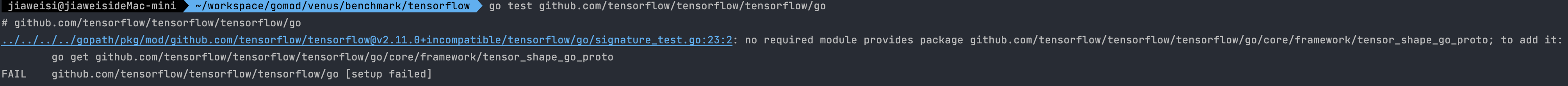 Golang TensorFlow | JARVIS